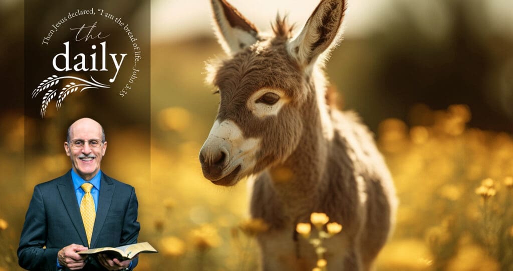 Issachar - Amazing Facts Oceania